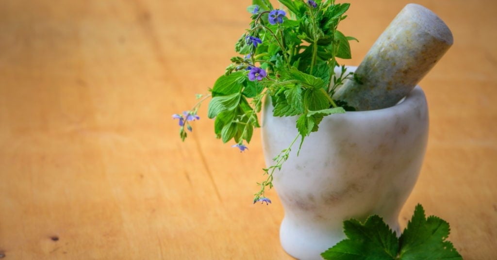 Mast Cell Activation Syndrome 101 Guide to Healing Mast Cell 360