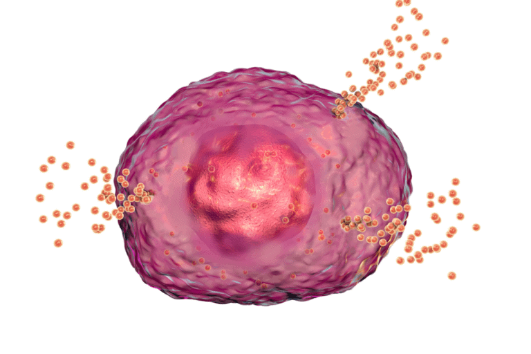 Mast Cell Activation Syndrome 101: The Beginner's Guide to Healing