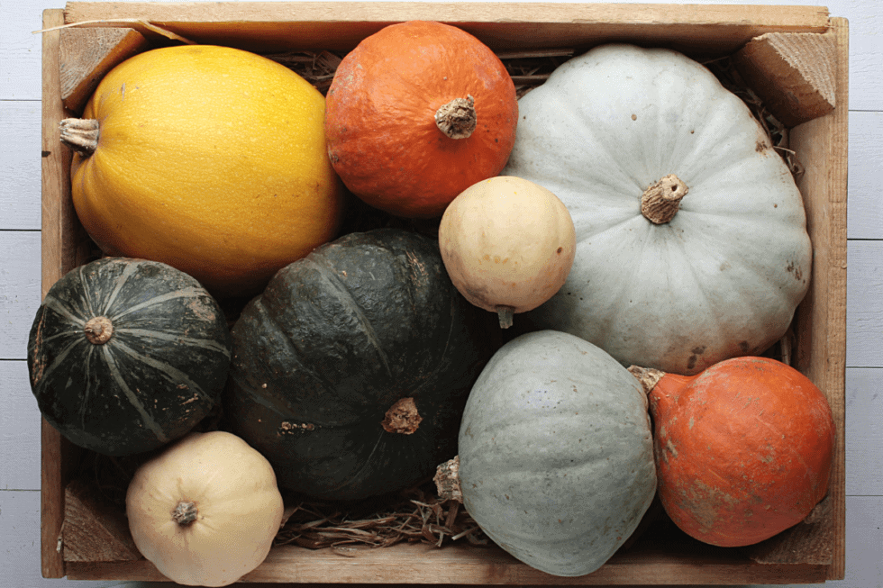 Lectins, Low Lectin Foods, and the Mast Cell Connection – for those ...