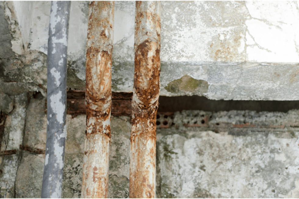 Top Signs You Have Mold Toxicity – What to know for people with Mast ...
