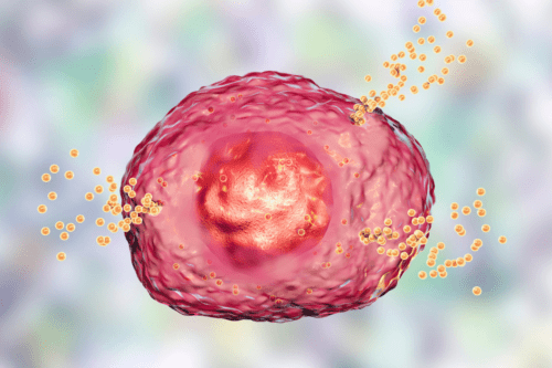 Mast Cell Foundations: Mediators and Receptors – info for those with ...