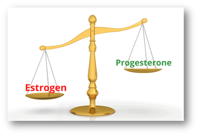 How Estrogen Dominance Affects Mast Cell Activation Syndrome ...