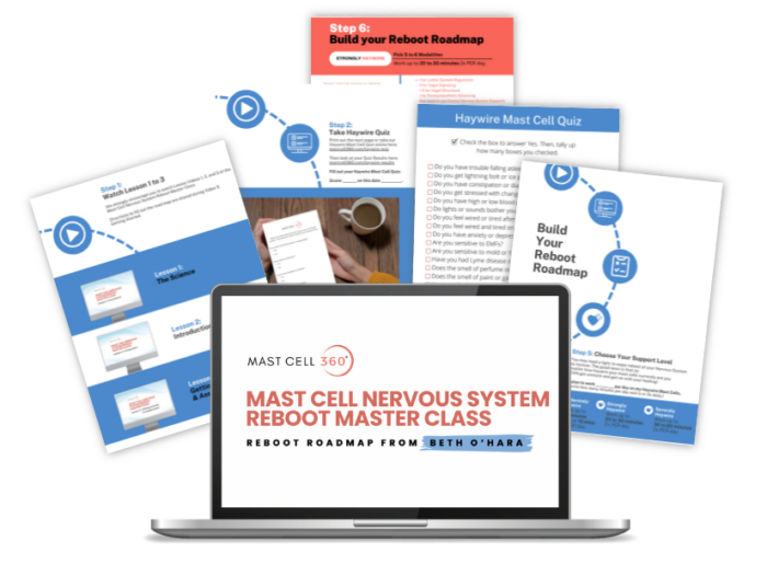 Mast Cell Nervous System Reboot Master Class – Mast Cell 360