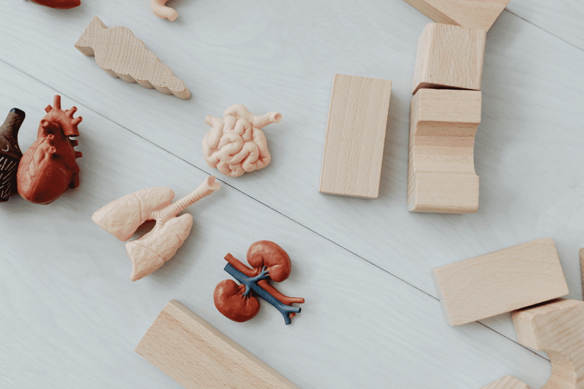 Mold Toxicity and Mold Symptoms in Kids – Mast Cell 360